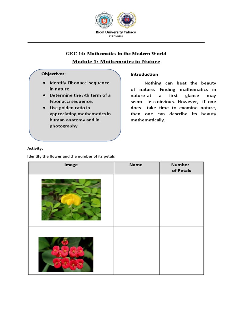 Mathematics in Nature: Identifying the Fibonacci Sequence and Golden ...