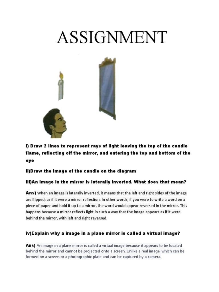 Understanding Lateral Inversion in Mirrors | PDF