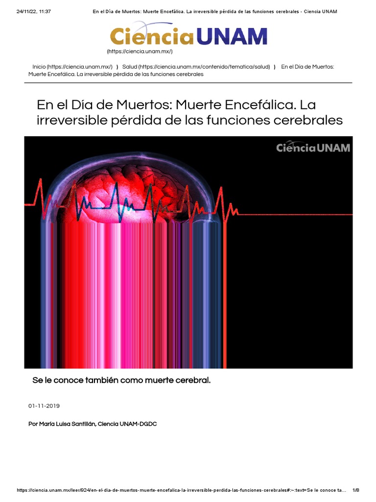 Ciencia Unam En El Día De Muertos Muerte Encefálica La Irreversible