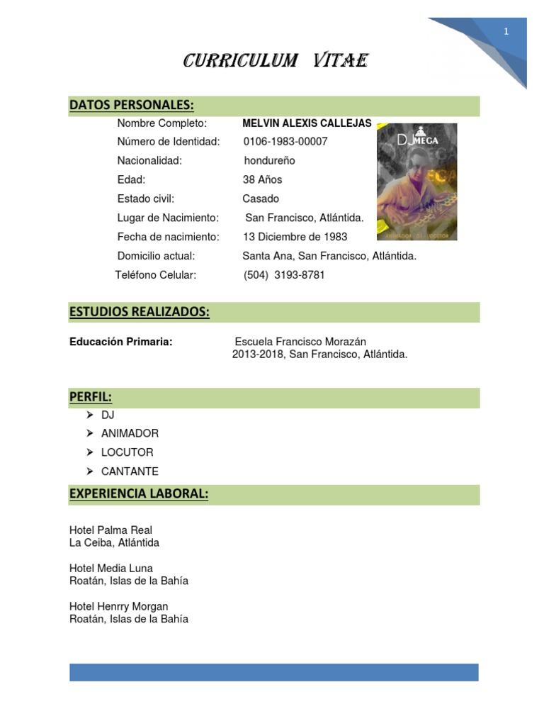 CV Melvin Callejas | PDF