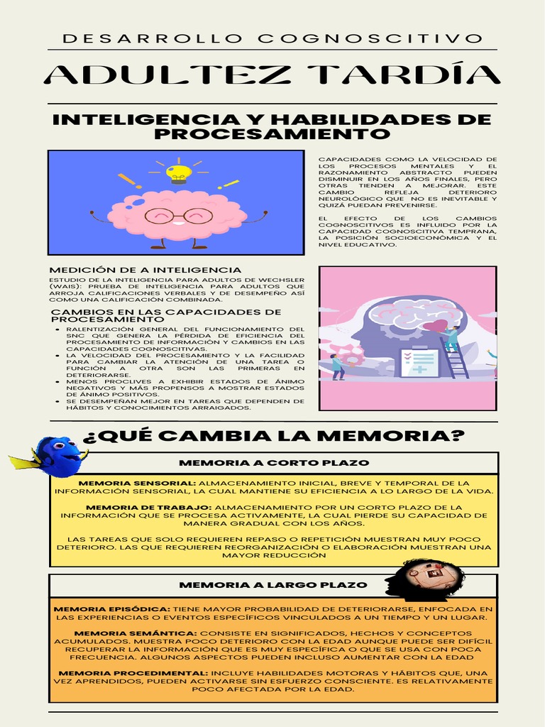 Infografía de Adultez Tardía Cognición | PDF