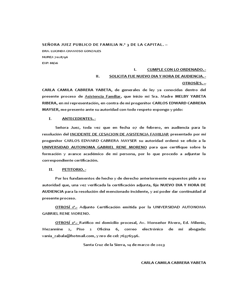 Solicitud de audiencia - Camila Cabrera | PDF