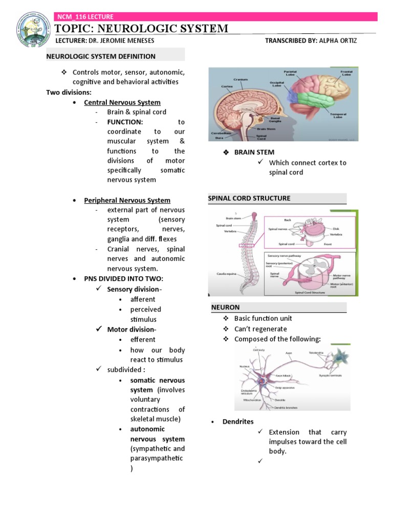 Neurologic System 1 | PDF