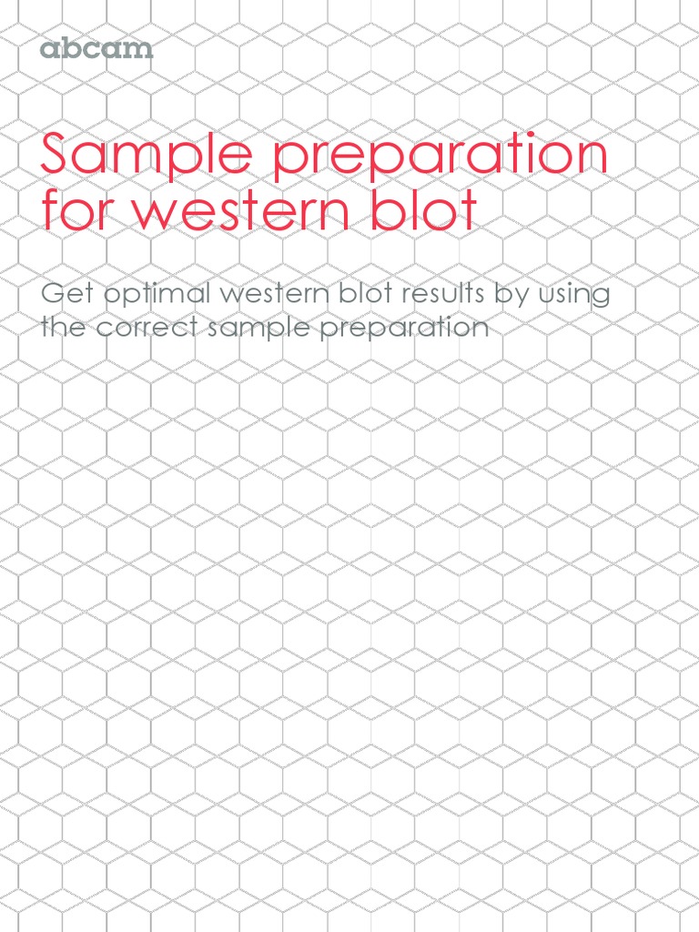 Get Optimal Western Blot Results by Using The Correct Sample ...