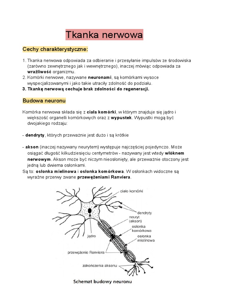 Tkanka Nerwowa | PDF