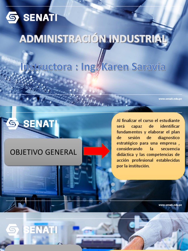 Estrategias con Matriz EFE | PDF