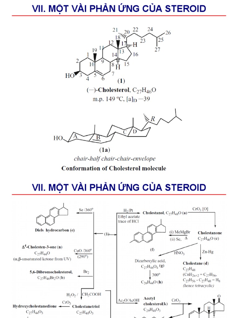 Determination of Cholesterol Structure Through Degradation Reactions ...