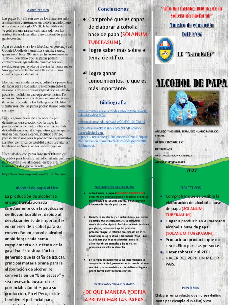 Alcohol de Papa PDF | PDF | Etanol | Patata