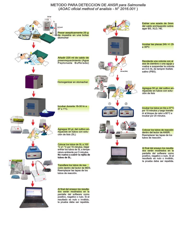 Salmonella MDS PDF | PDF