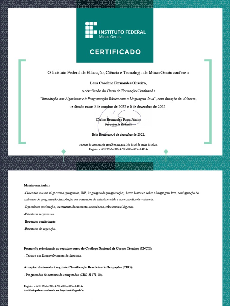 Introdução Aos Algoritmos e À Programação Básica Com A Linguagem Java ...