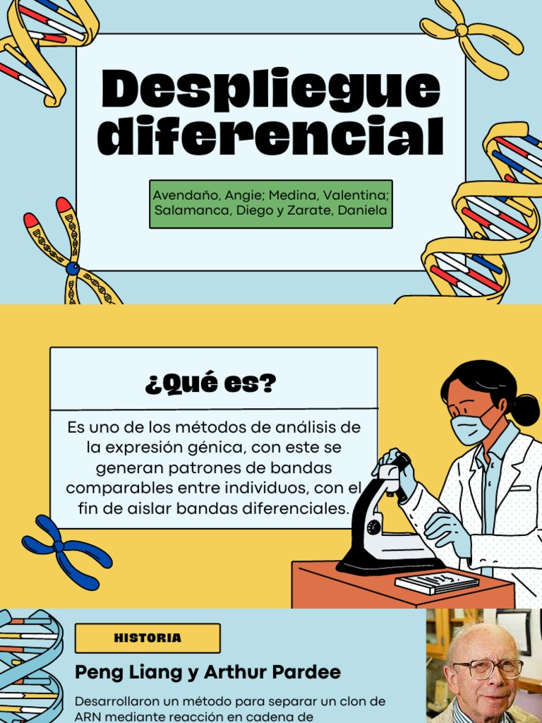 Despliegue Diferencial | PDF | Primer (Biología Molecular) | Reacción ...