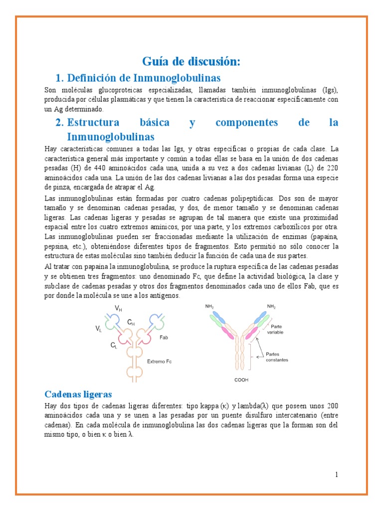 Guia de discusión 4.docx | PDF