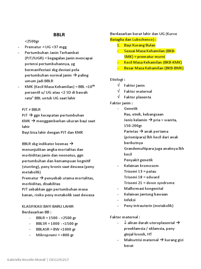 BBLR Dan Developmental Care - Dr. Dwi Bahagia Febriani Fix PDF | PDF