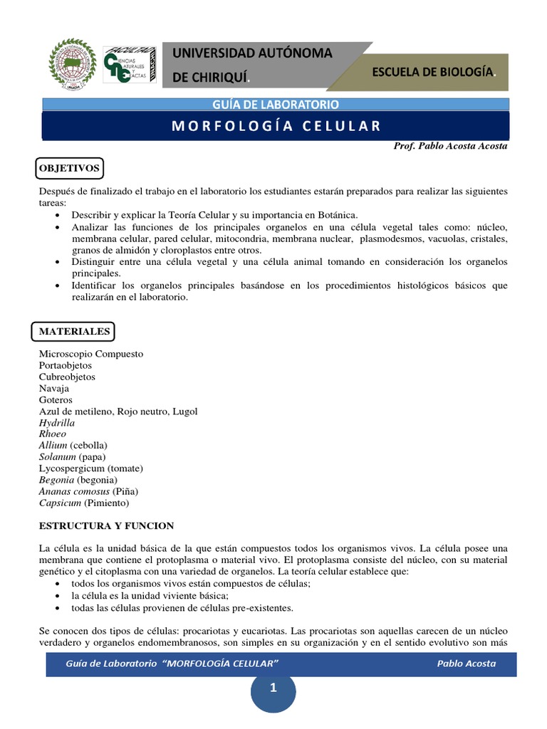 Guia de Morfologia Celular PDF | PDF | Plantas | Biología Celular)