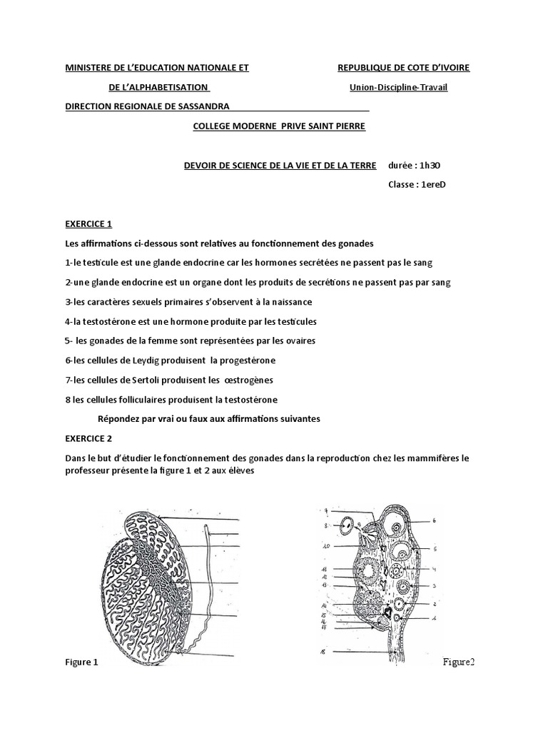 Devoir de SVT 1ere D | PDF