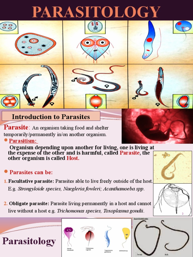 Parasitology | PDF
