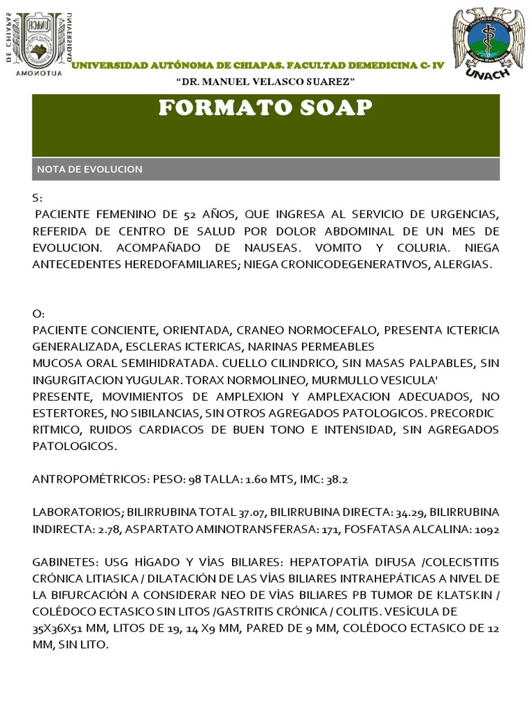 Formato Soap PDF | PDF