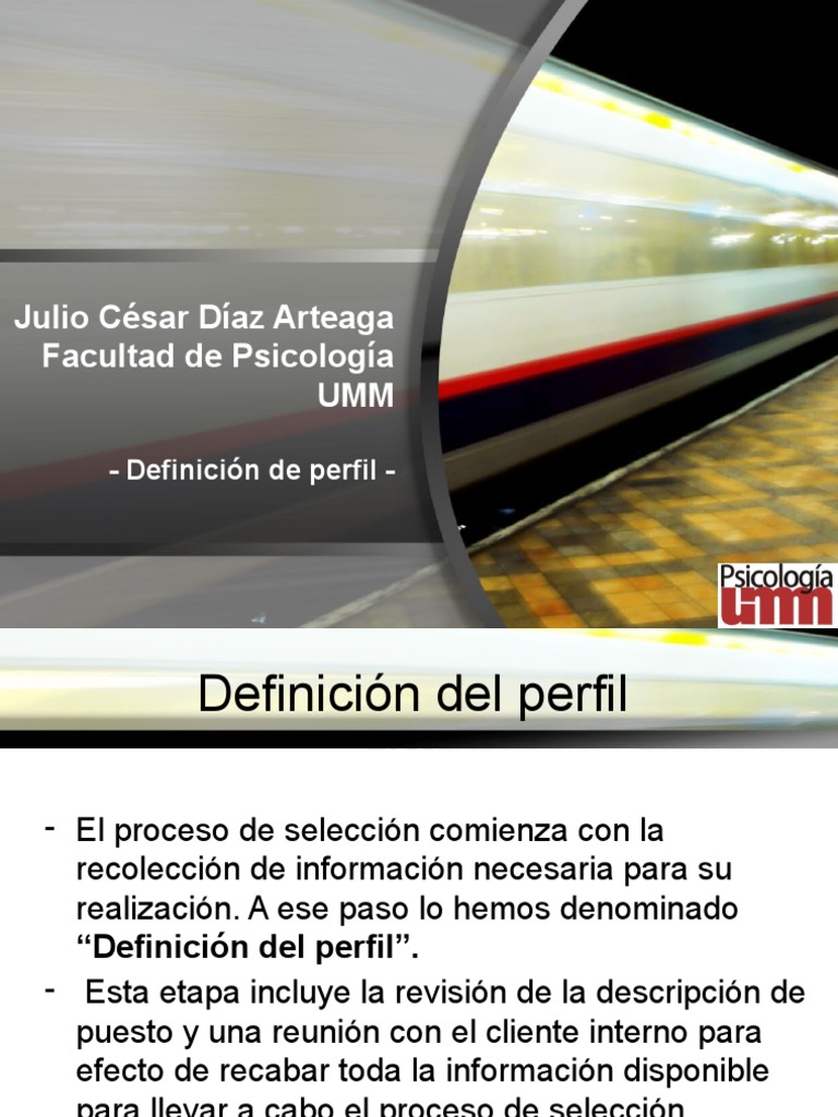 Cap 4 RyS DEFINICIÓN DEL PERFIL | PDF