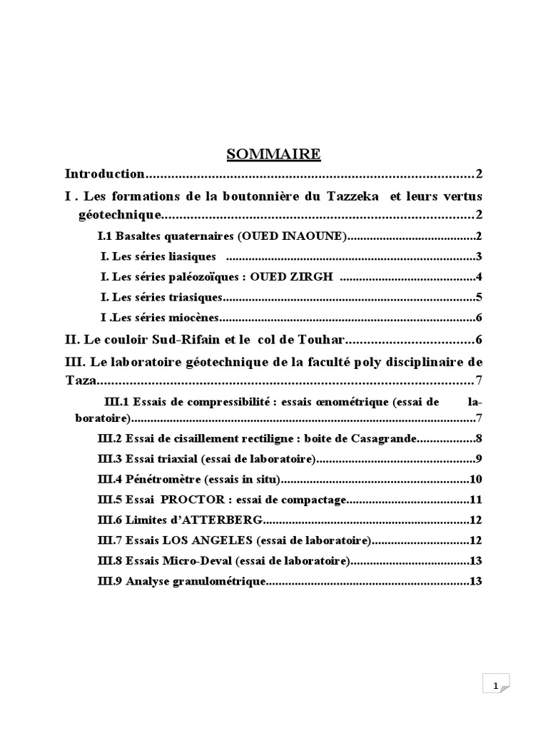Rapport de Sortie S6 | PDF
