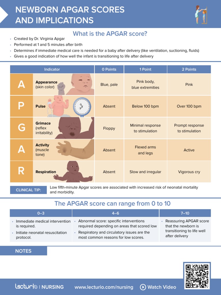 Nursing - CS - Newborn Apgar Scores and Implications - 04 PDF | PDF ...