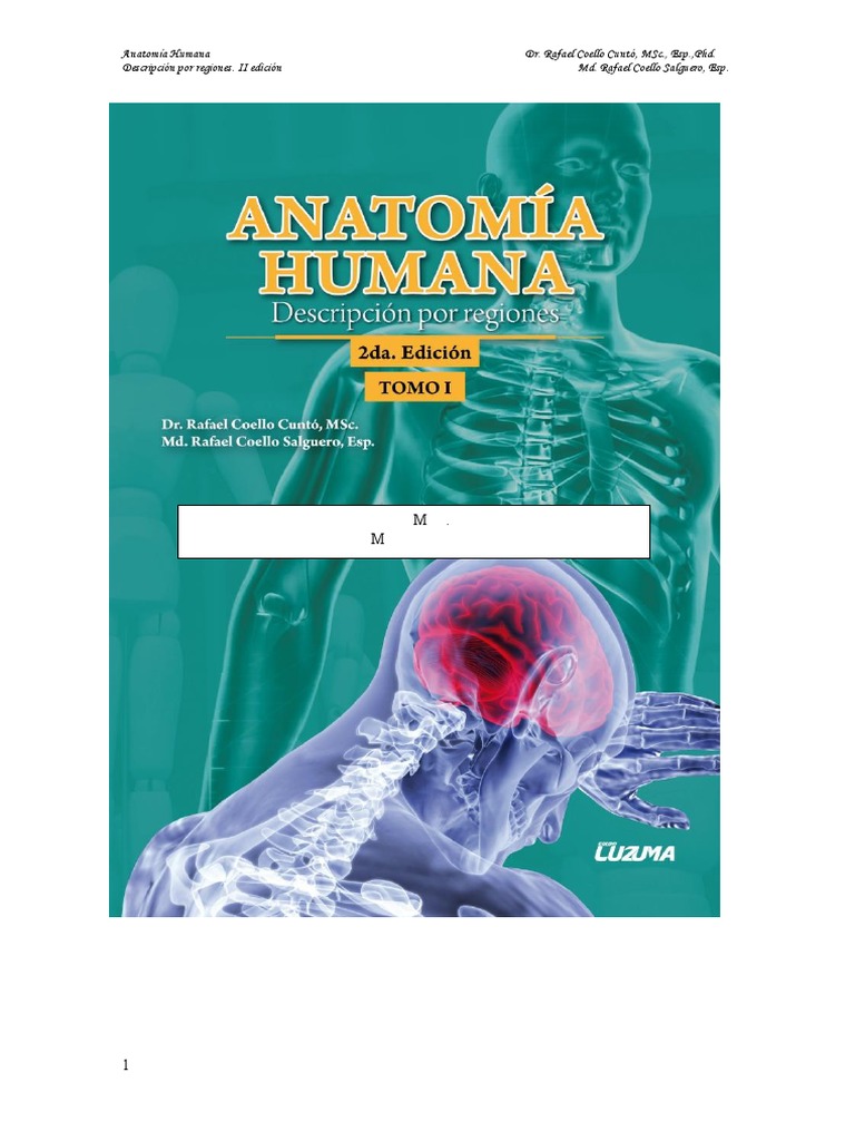 Anatomia Humana-Descripcion Por Regiones (Rafael Coello) PDF | PDF ...