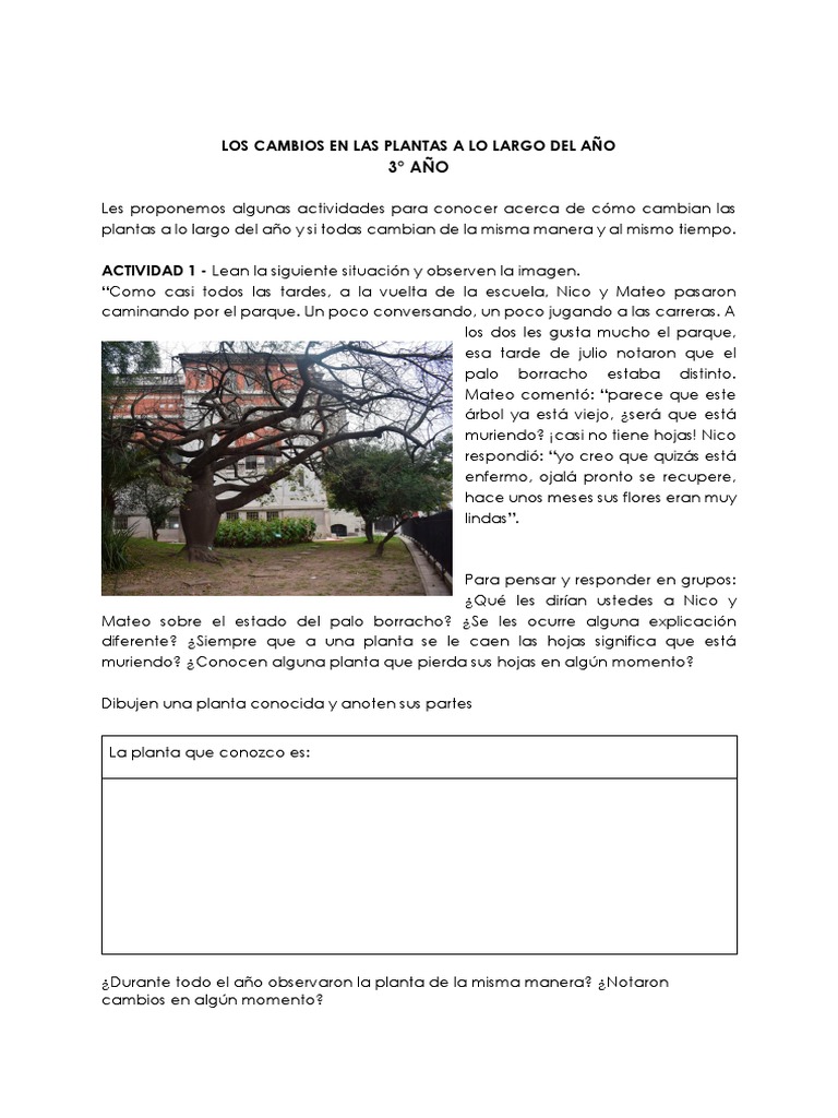 3RO - LAS PLANTAS Y SUS CAMBIOS - ESTUDIANTES (1).pdf | PDF