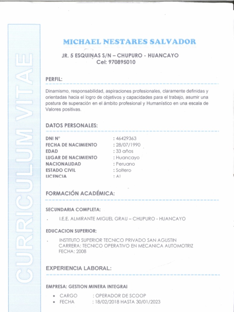 CV Michael Nestares PDF | PDF