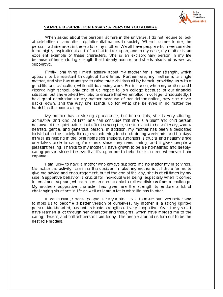 Sample descriptive essay | PDF