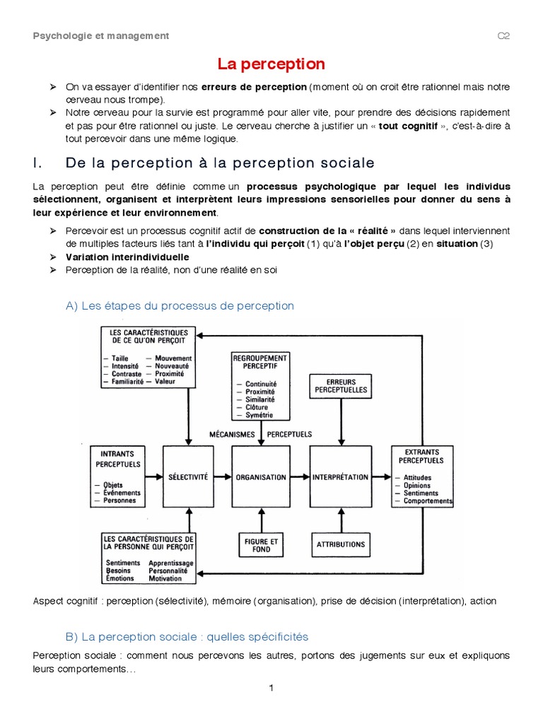 Erreurs de perception en psychologie sociale | PDF | la perception ...