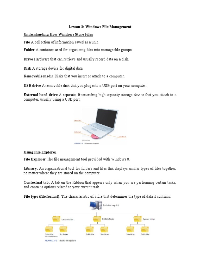 Lesson 3 Windows File Management | PDF
