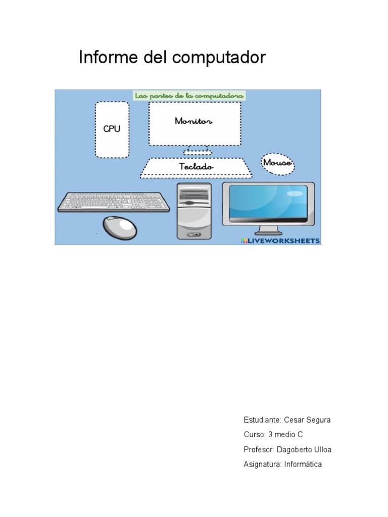 Informe Del Computador | PDF