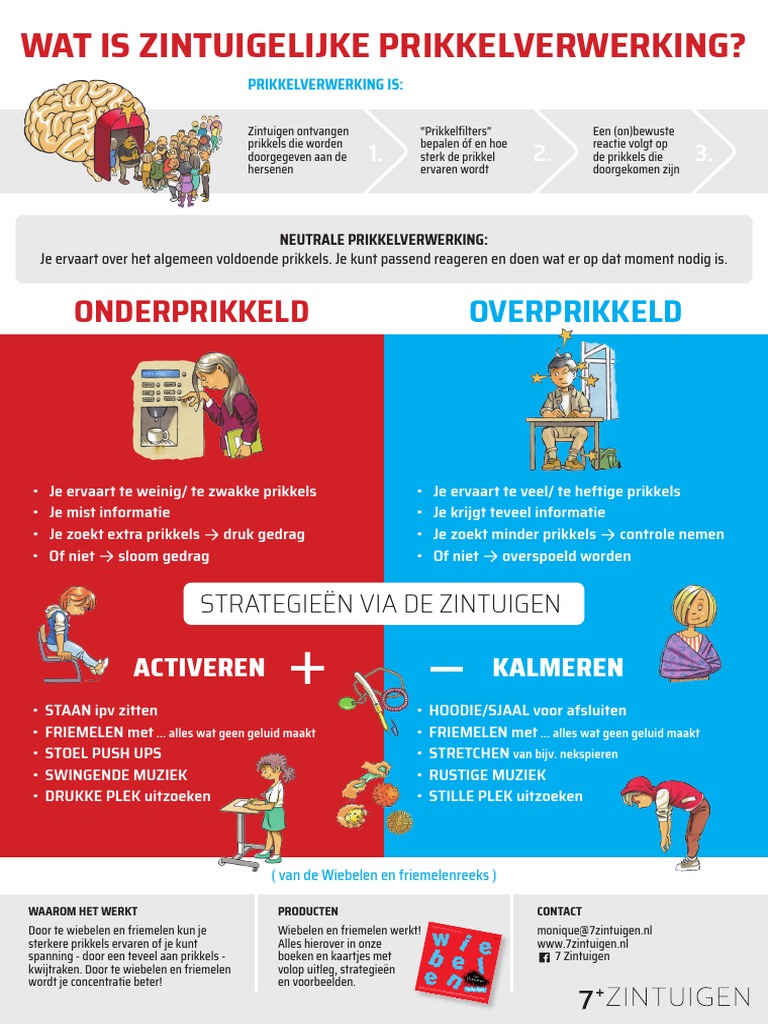 Prikkelverwerking-Poster HR | PDF