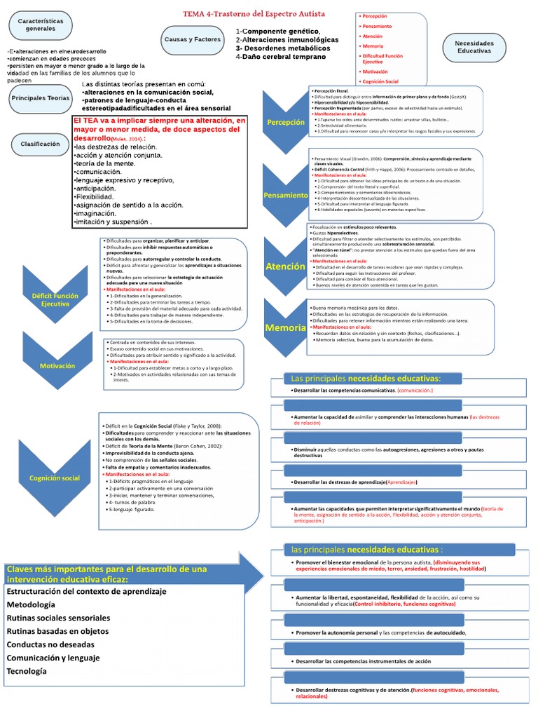 Mapa Tema 4 Autismo PDF | PDF