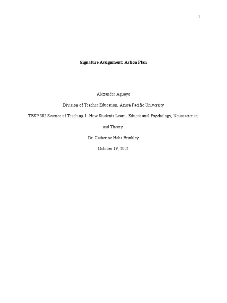 Signature Assignment Action Plan | PDF