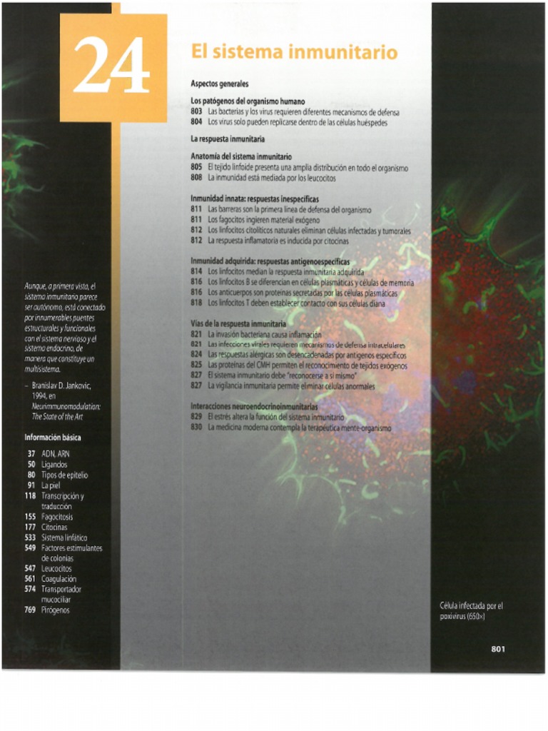 Inmuno Silverthorn PDF | PDF