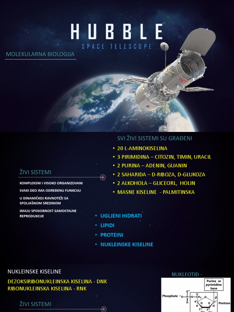 Molekularna Biologija PDF | PDF