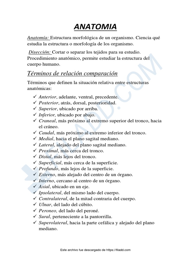 Generalidades Anatomia Pdf Pdf