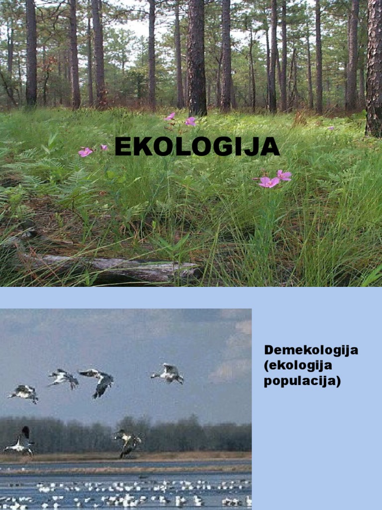 EKOLOGIJA-3 I 4 | PDF