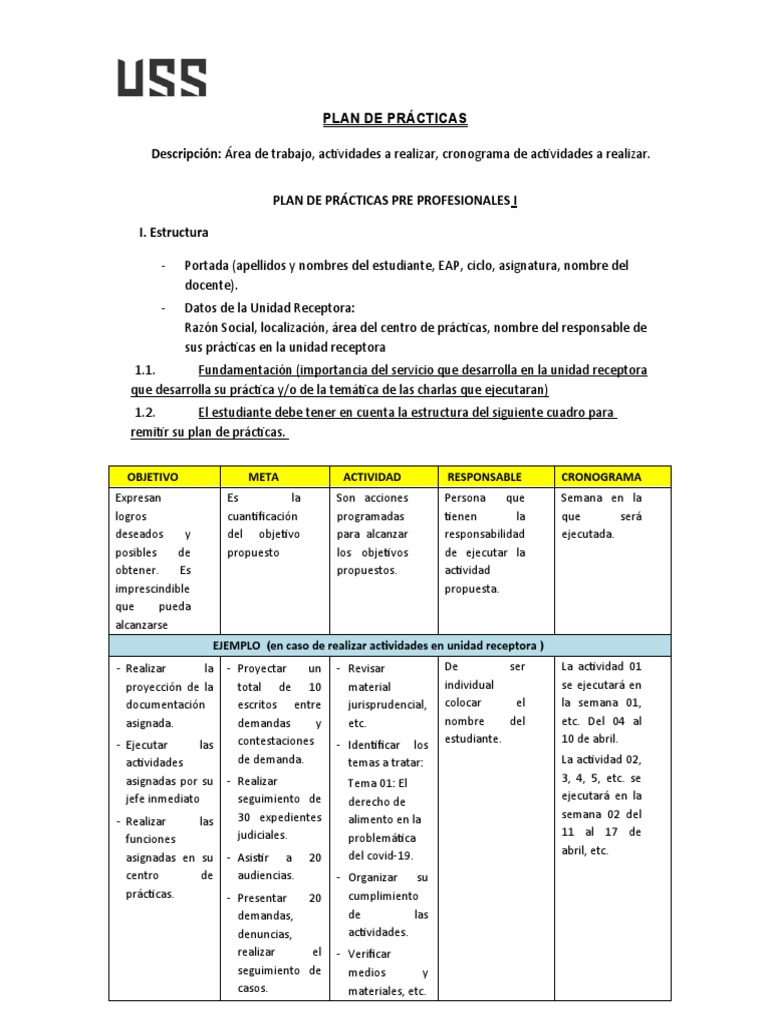 Plan de Prácticas - Modelo Sugerido | PDF