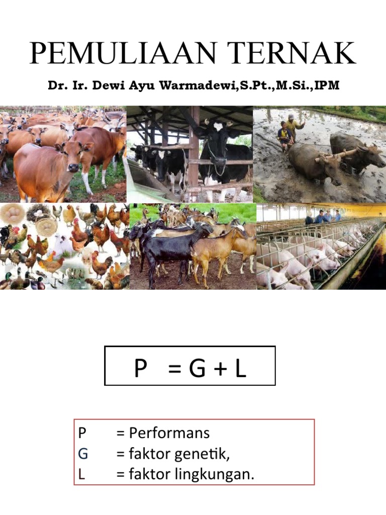 Materi Pemuliaan Ternak | PDF