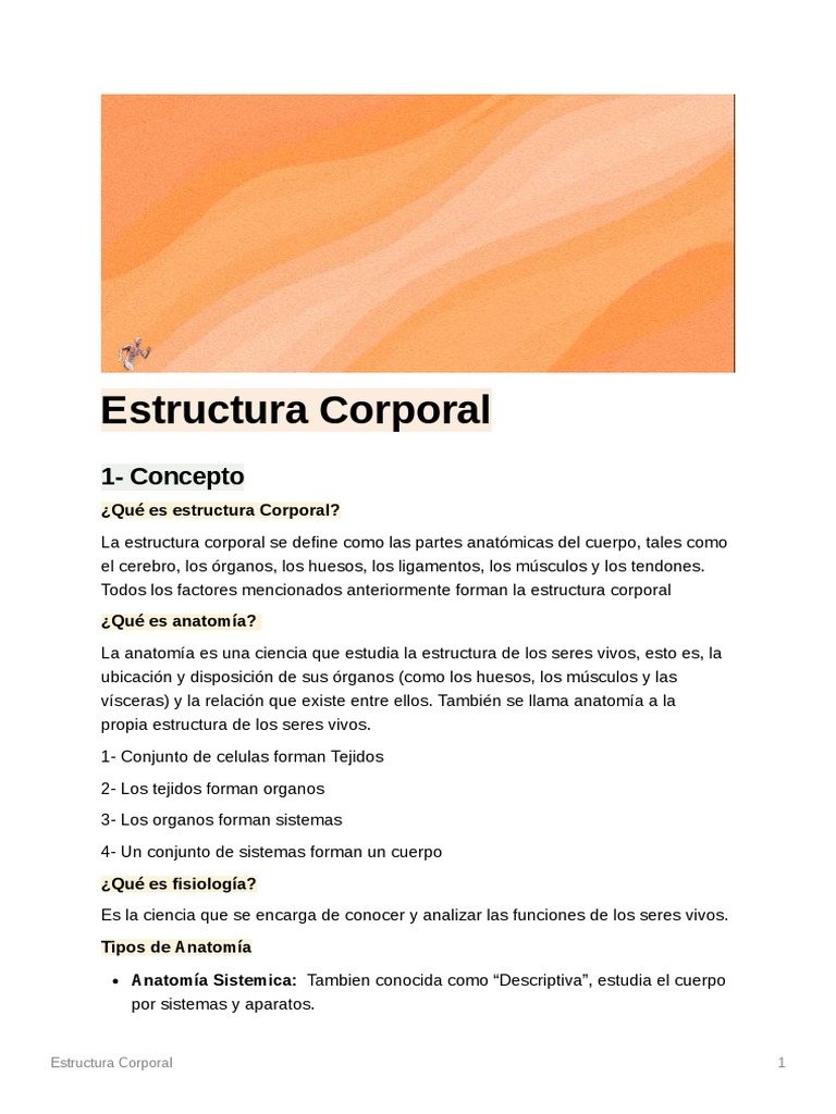 Anatomía y Estructura Corporal Explicada | PDF | Términos anatómicos de ...