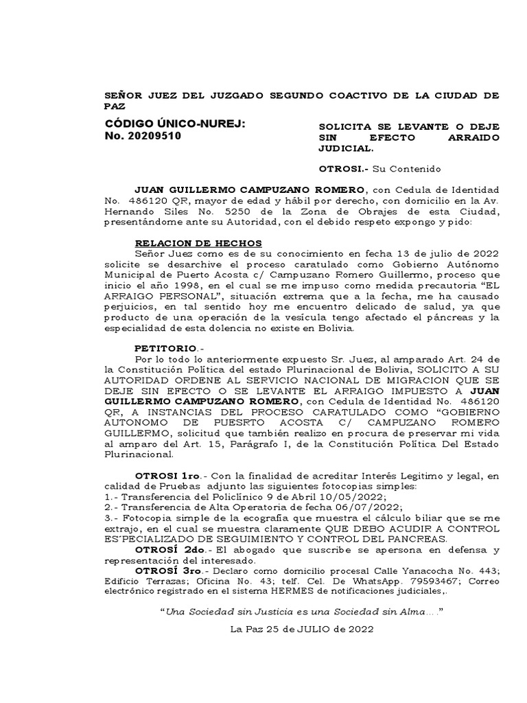 Solicita Desarraigo | PDF | Gobierno | Justicia