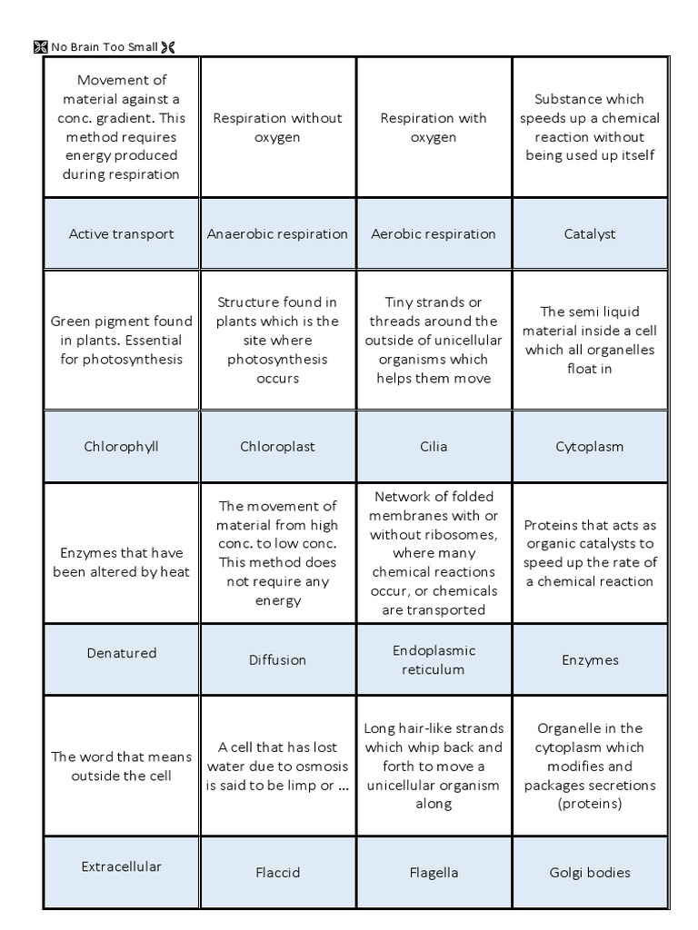 Bio2 91156 Flashcards | PDF | Cell (Biology) | Cellular Respiration