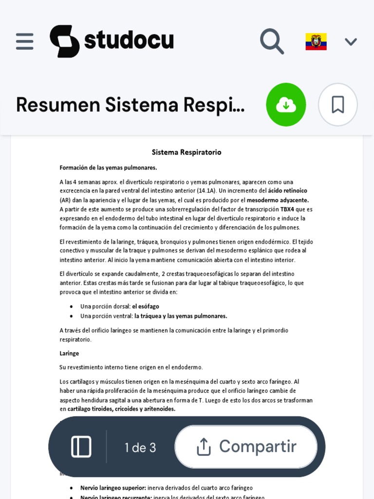 Resumen Sistema Respiratorio Embriologia de Langman - Warning TT Undefined Function 32 Sistema ...