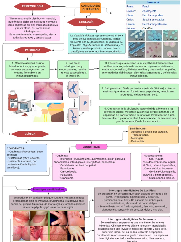 Resumen - Candidiasis Cutánea PDF | PDF | Candidiasis | Epidemiología