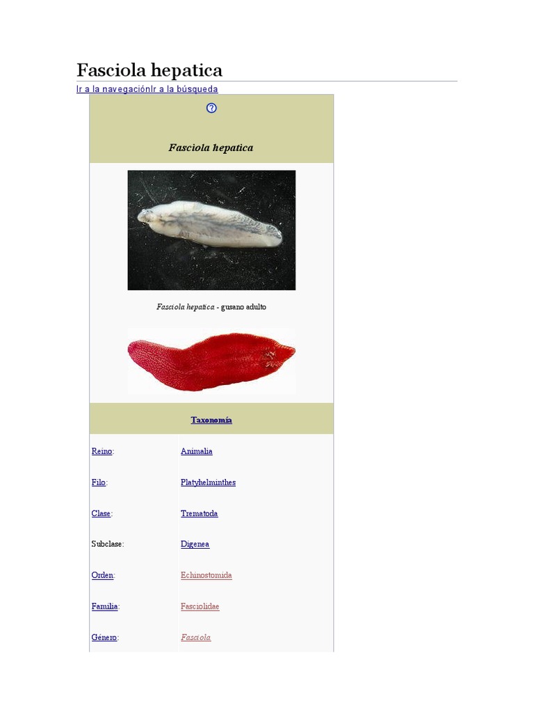 Fasciola Hepatica | PDF