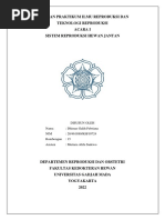 Gambar Alat Reproduksi Sapi Betina | PDF
