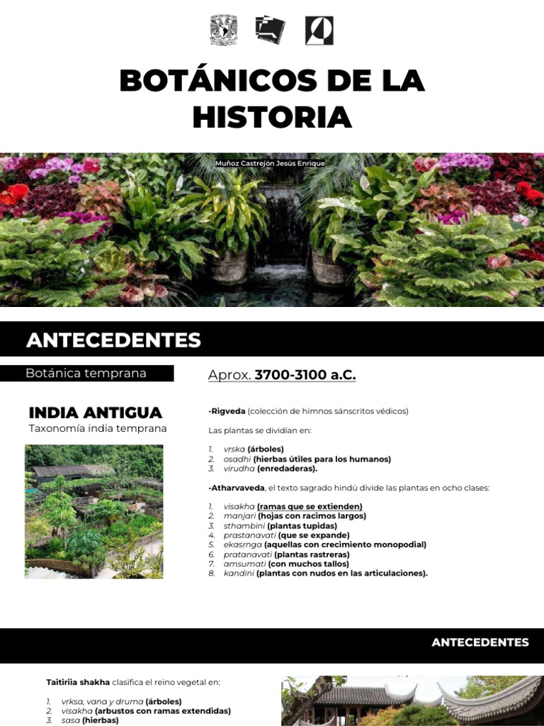 Botanicos de La Historia | PDF