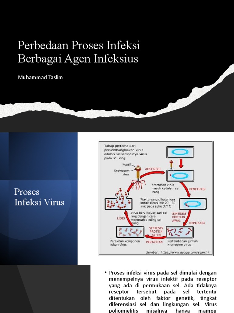 Perbedaan Proses Infeksi Berbagai Agen Infeksius | PDF