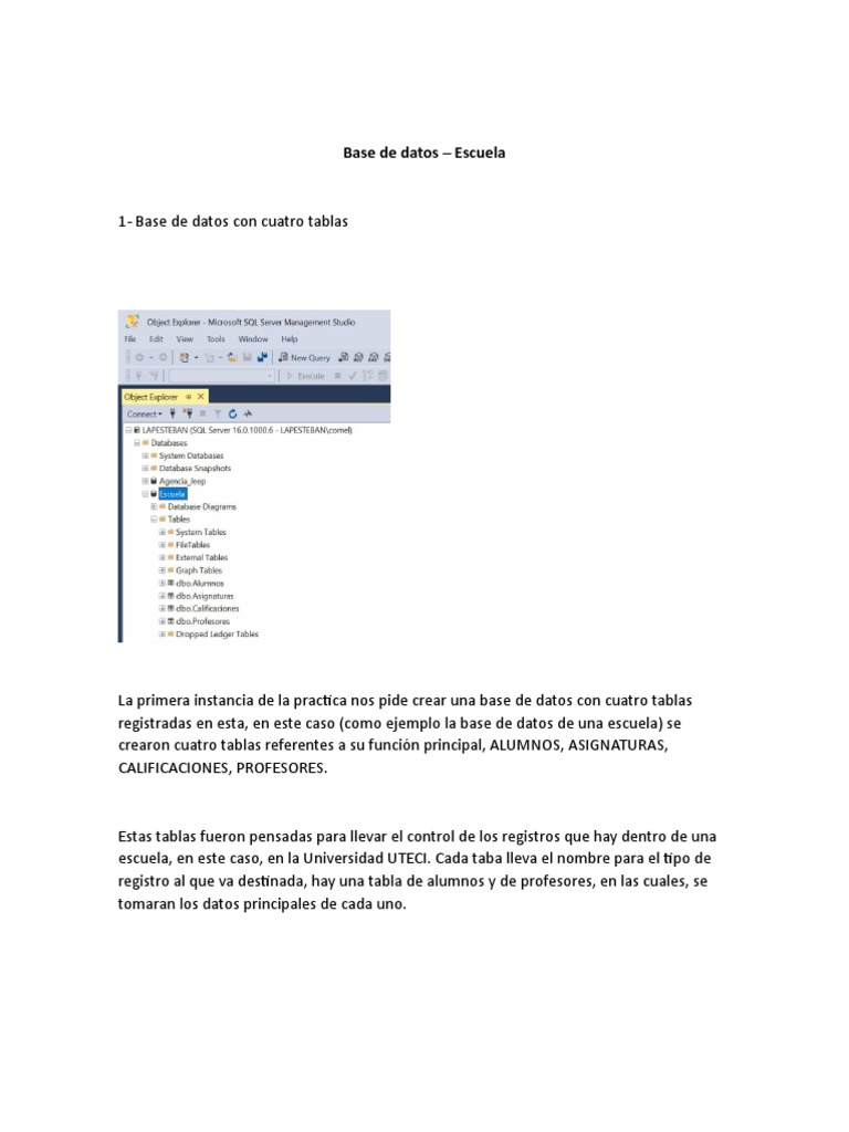 Documentacion Practica Final | PDF